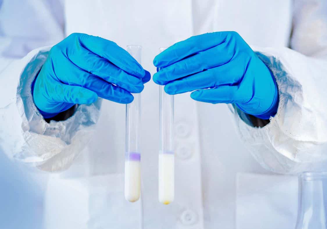 Australian Dairy Livestock Export Service: Cattle Export Service